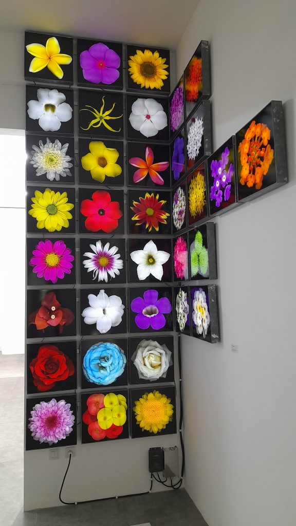 Dunia Tempelan Angki Purbandono dan Fotografi yang Agak Laen – senirupa.id